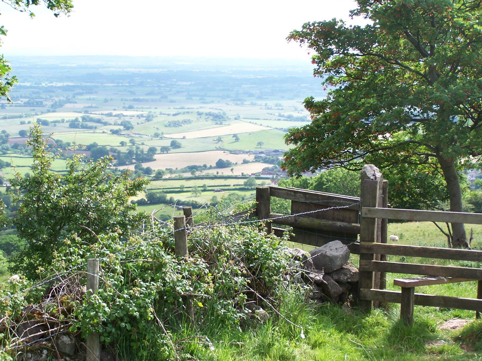 Cllr Penelope Colwill - Westbury Sub Mendip